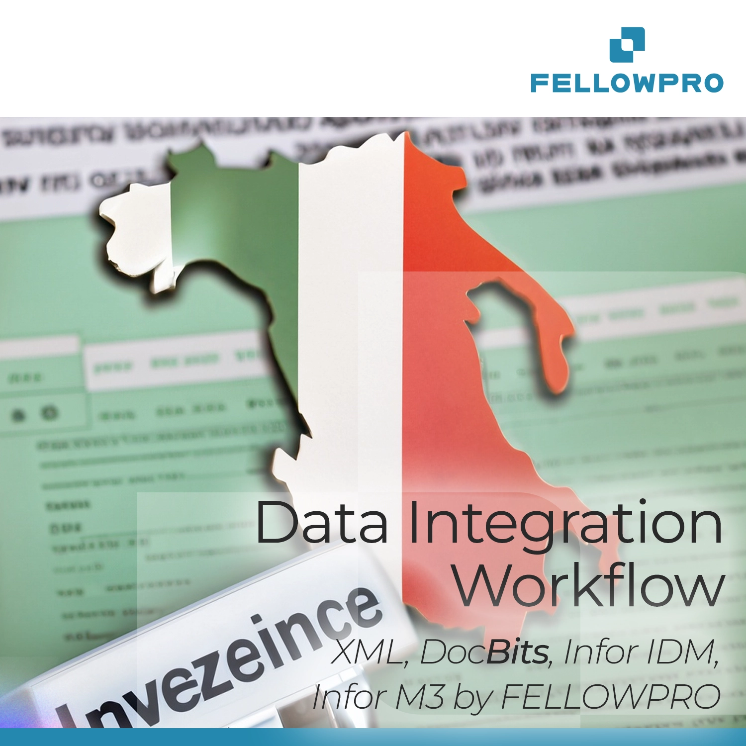 Data integration workflow - FELLOWPRO AG