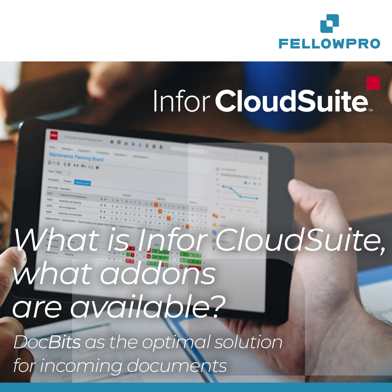 Infor CloudSuite - FELLOWPRO AG